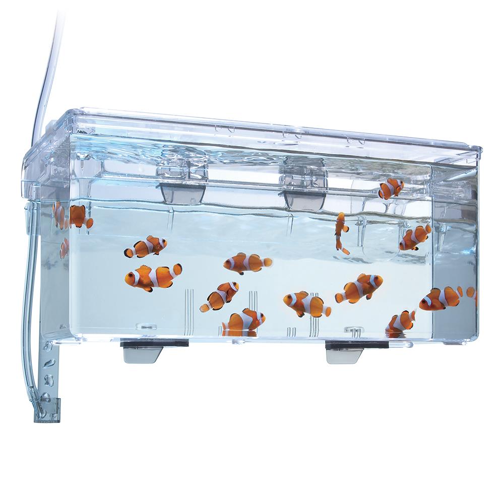 Fluval Hang On Breeding Box Large – TK Aquatics