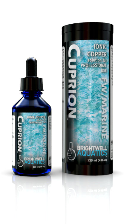 Cuprion 60ml Brightwell Cuprion Copper Medication 60ml – TK Aquatics